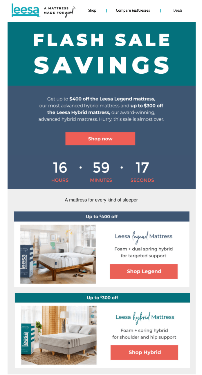 Shopify Newsletter Examples And Templates